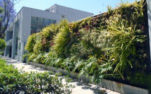 Inspírate -Te decimos como diseñar una fachada verde