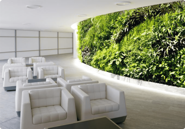 Pared verde: ¿Qué es? | Generación Verde