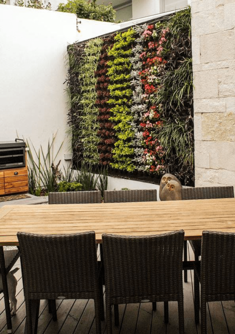 Pared verde: ¿Qué es? | Generación Verde