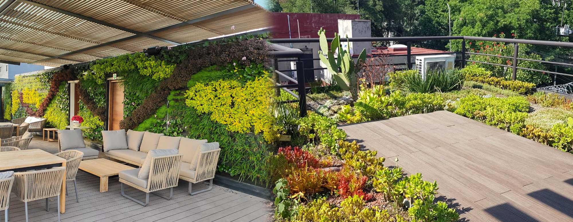 Proyectos Realizados de Jardines Verticales y Azoteas Verdes ...