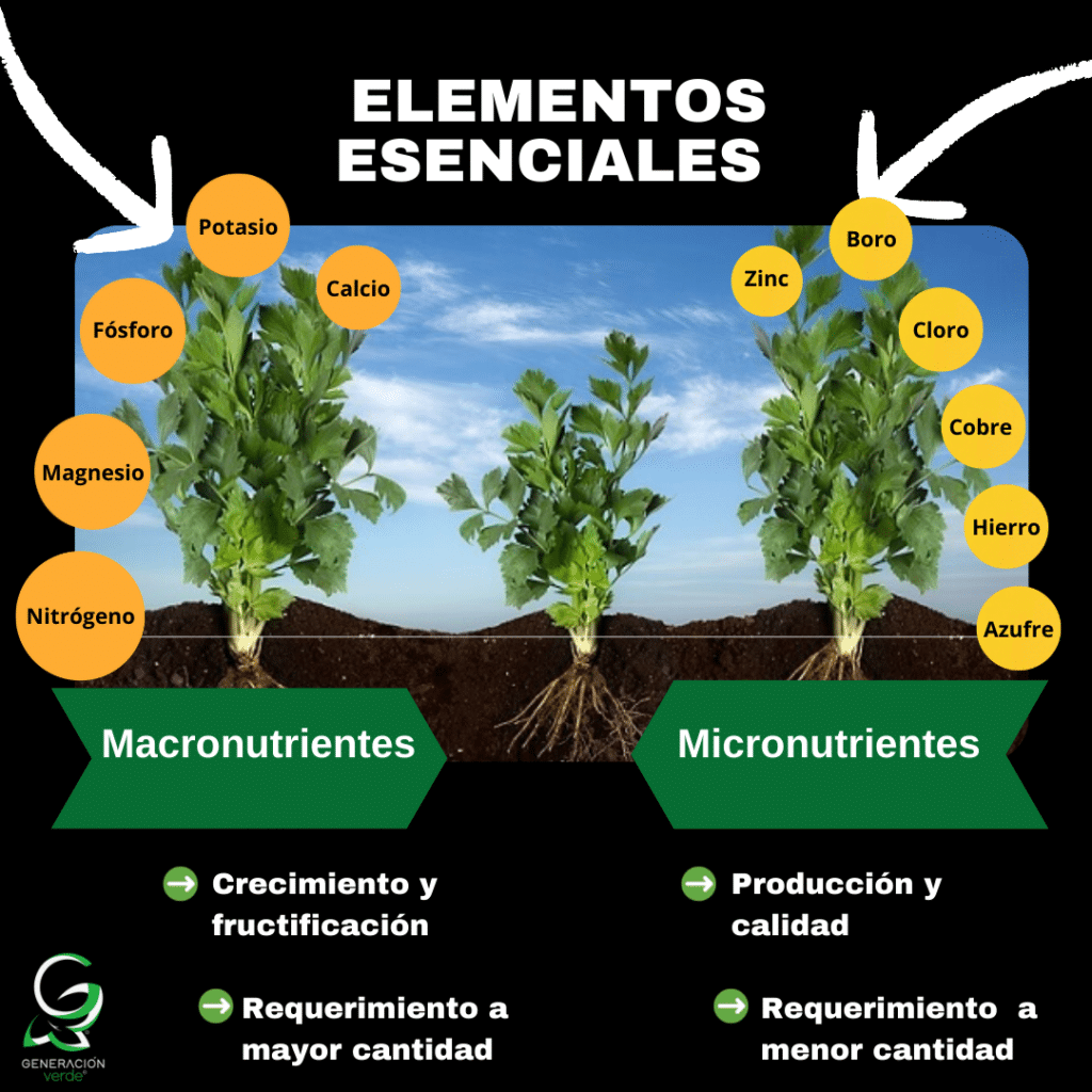 ¿Qué nutrientes necesita el huerto?