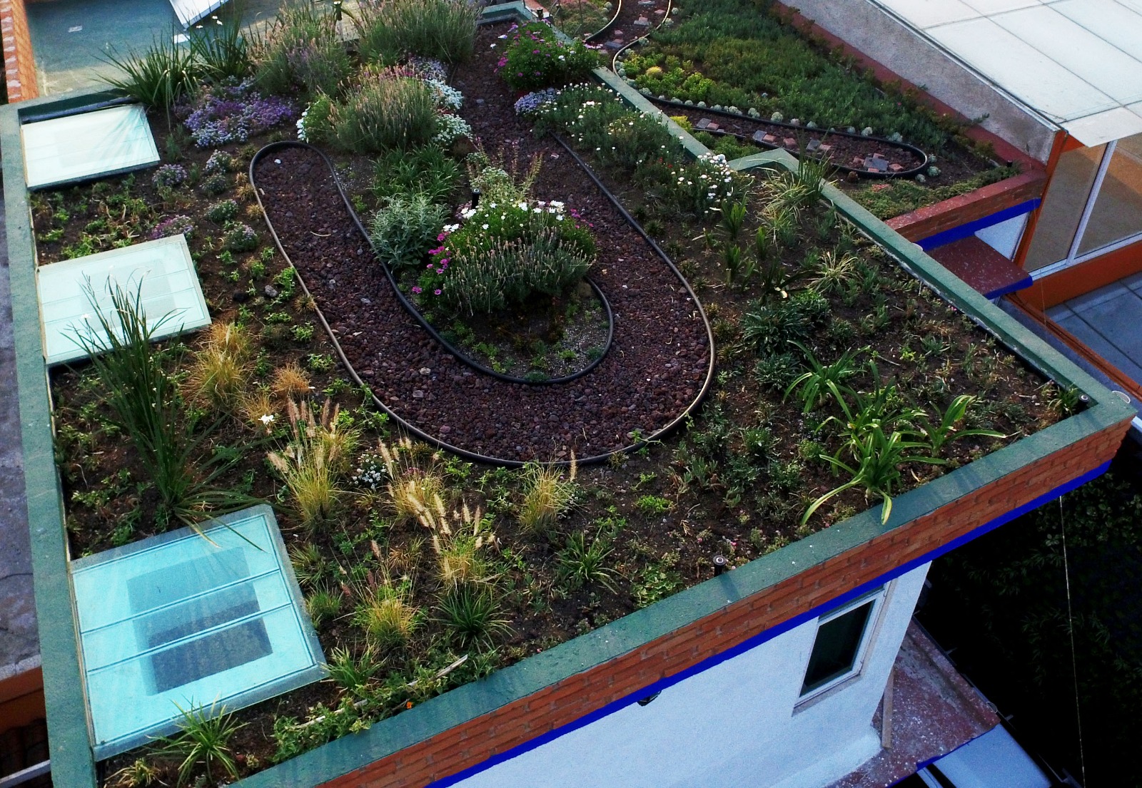 Beneficios de tener azoteas verdes | Generación Verde